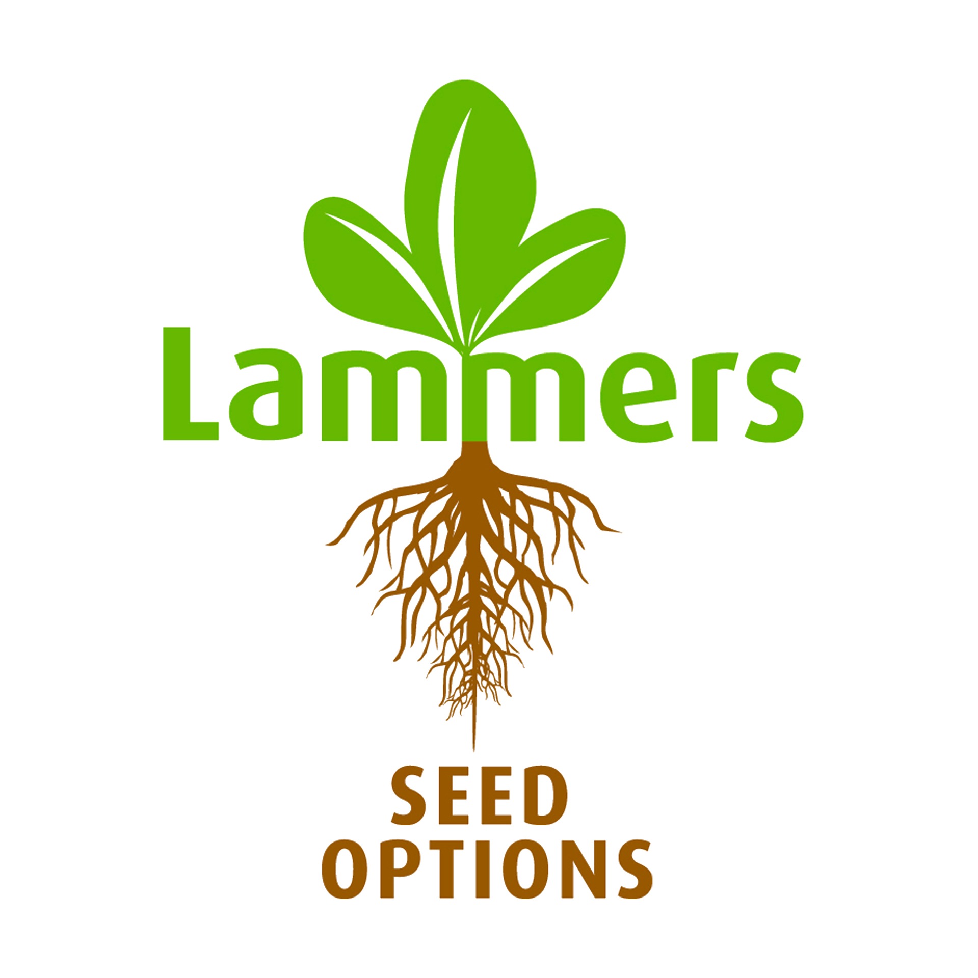 About us :: Lammers Seed Options